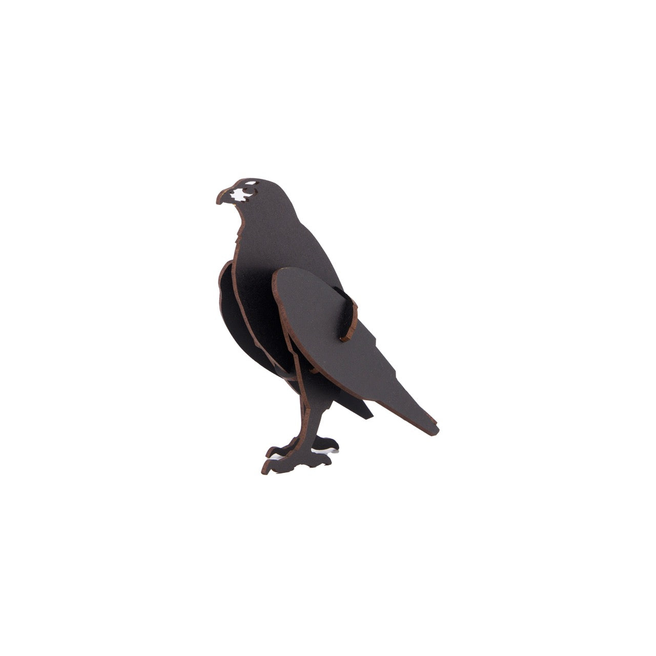 Hawk – Little and Wood